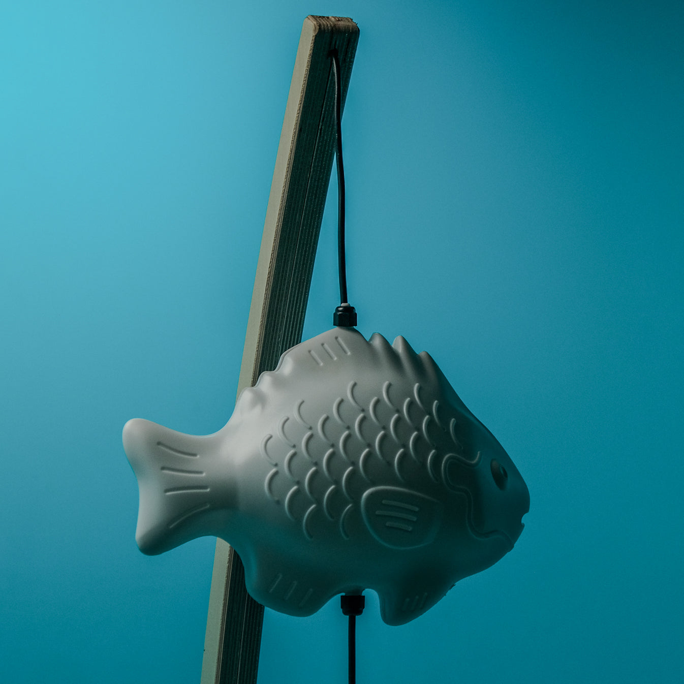 Fish Lamp – Waller Creek High
