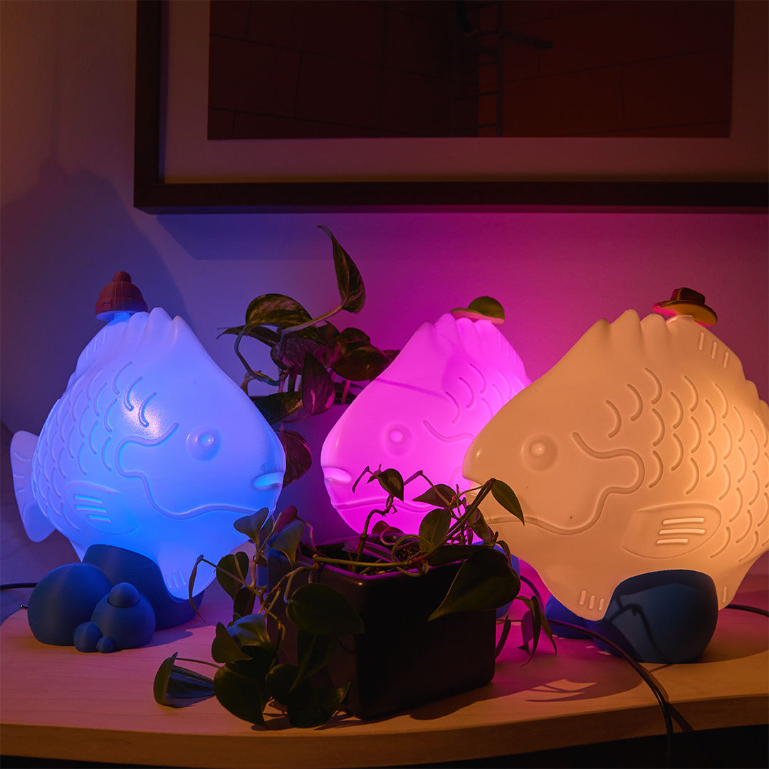 Fish Lamp – Waller Creek High